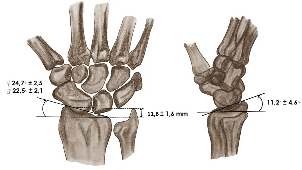 Pols – Heelkunde Protocollen